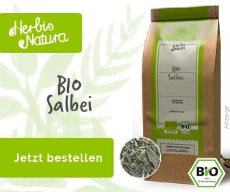 Salbei (Salvia officinalis) - Steckbrief - Eigenschaften und Verwendung